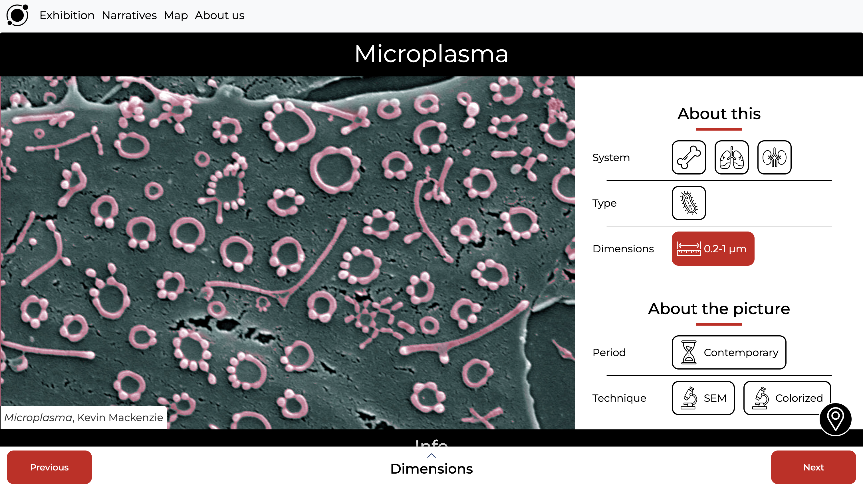 Documentation - Microcosm: Hidden Worlds Within
