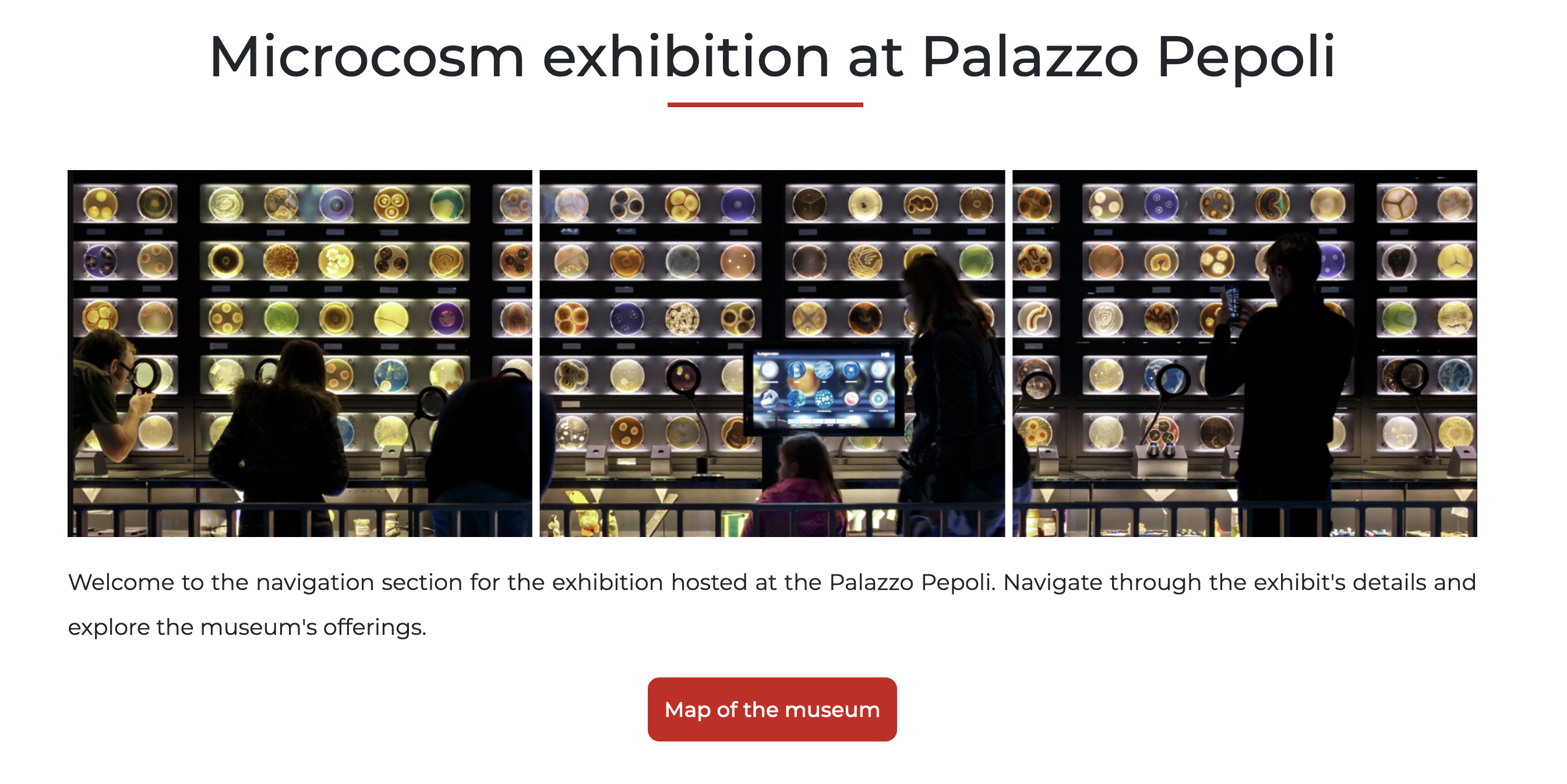 Documentation - Microcosm: Hidden Worlds Within