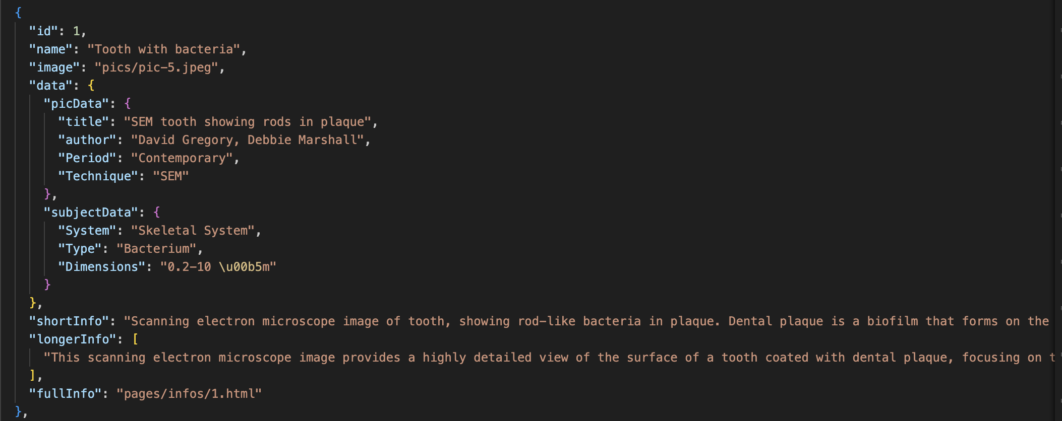Documentation - Microcosm: Hidden Worlds Within